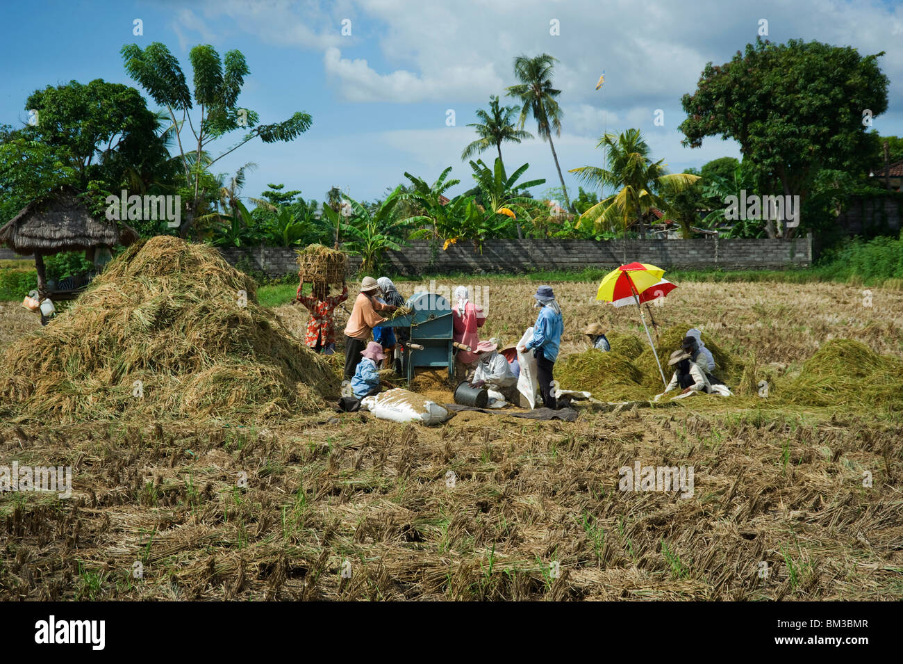 Sunshine bali hi-res stock photography and images - Alamy