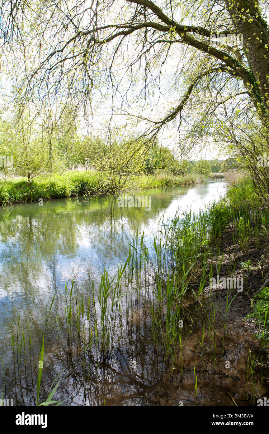 View of the River Nadder on the edge of Harnham Water Meadows Stock ...