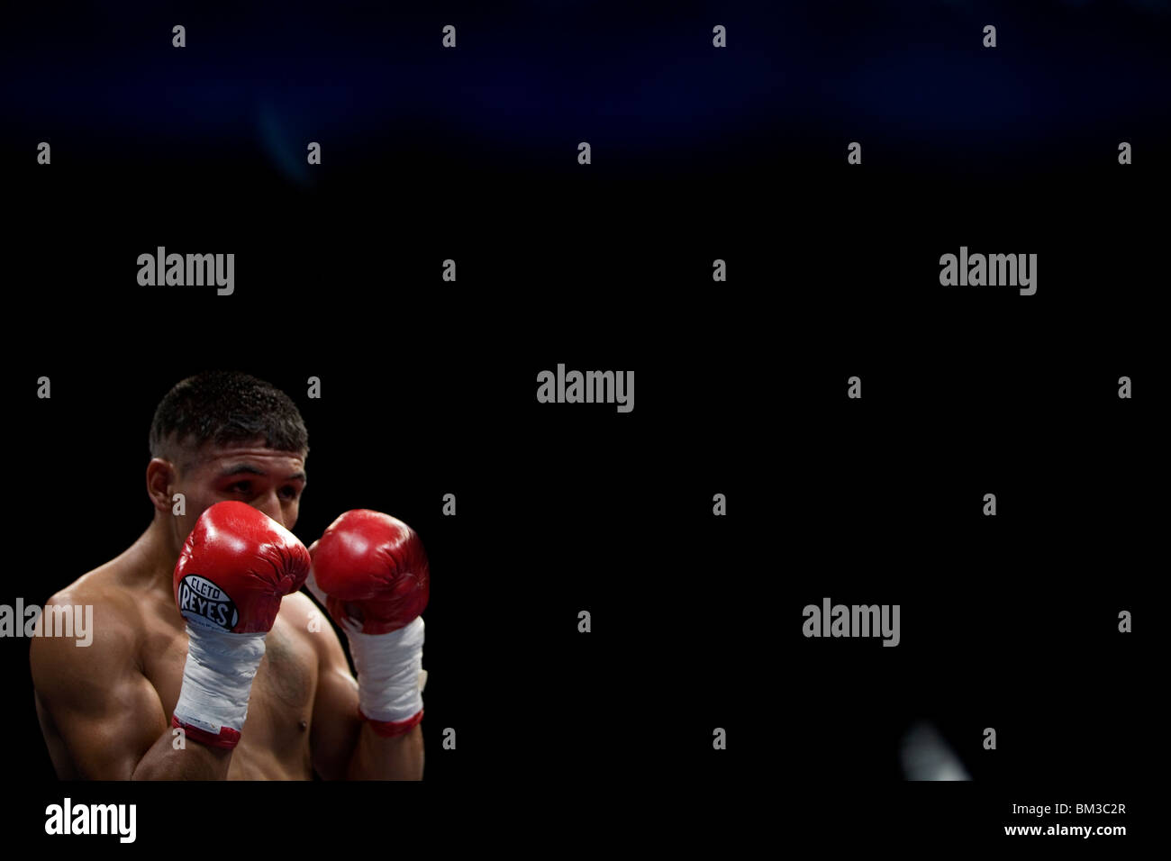 Mexican Boxing Wallpaper