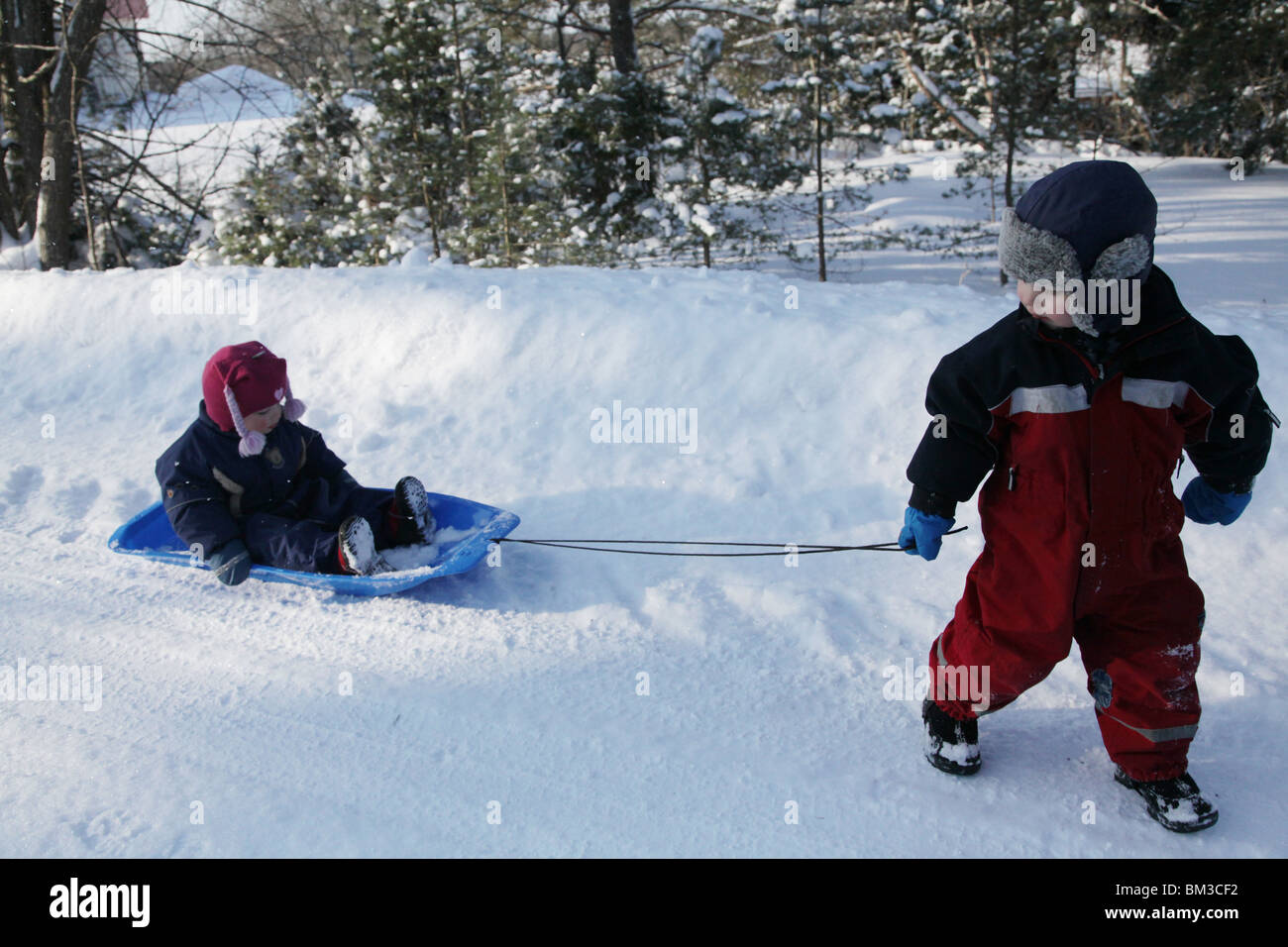TODDLERS PLAY WITH SLEDGE DEEP WINTER: Two siblings babies kids ...