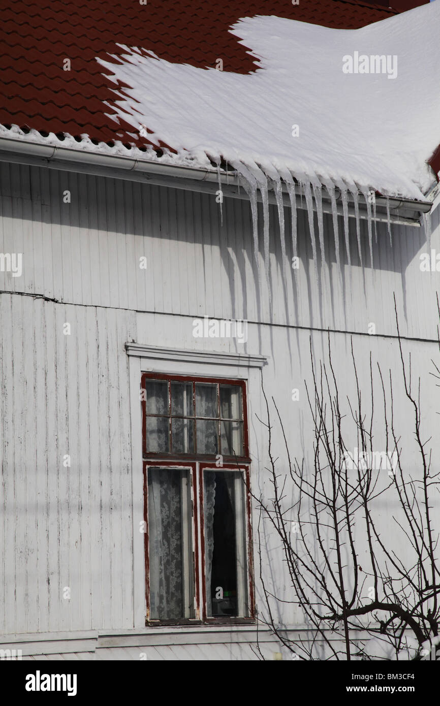 LARGE ICICLES ON NORDIC HOUSE: Large icicles on a traditional wooden ...