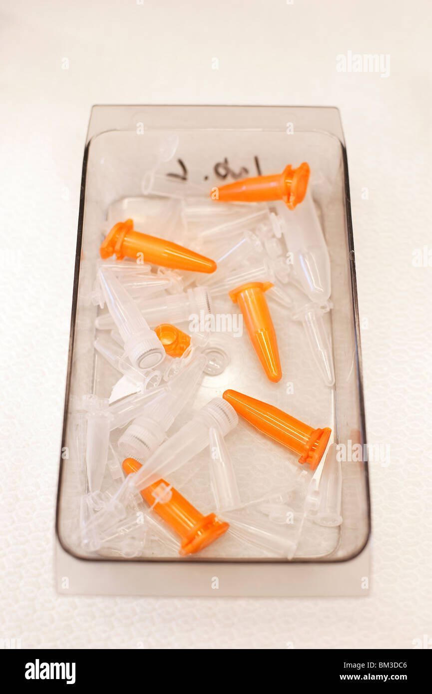 Eppendorf tubes hi-res stock photography and images - Alamy