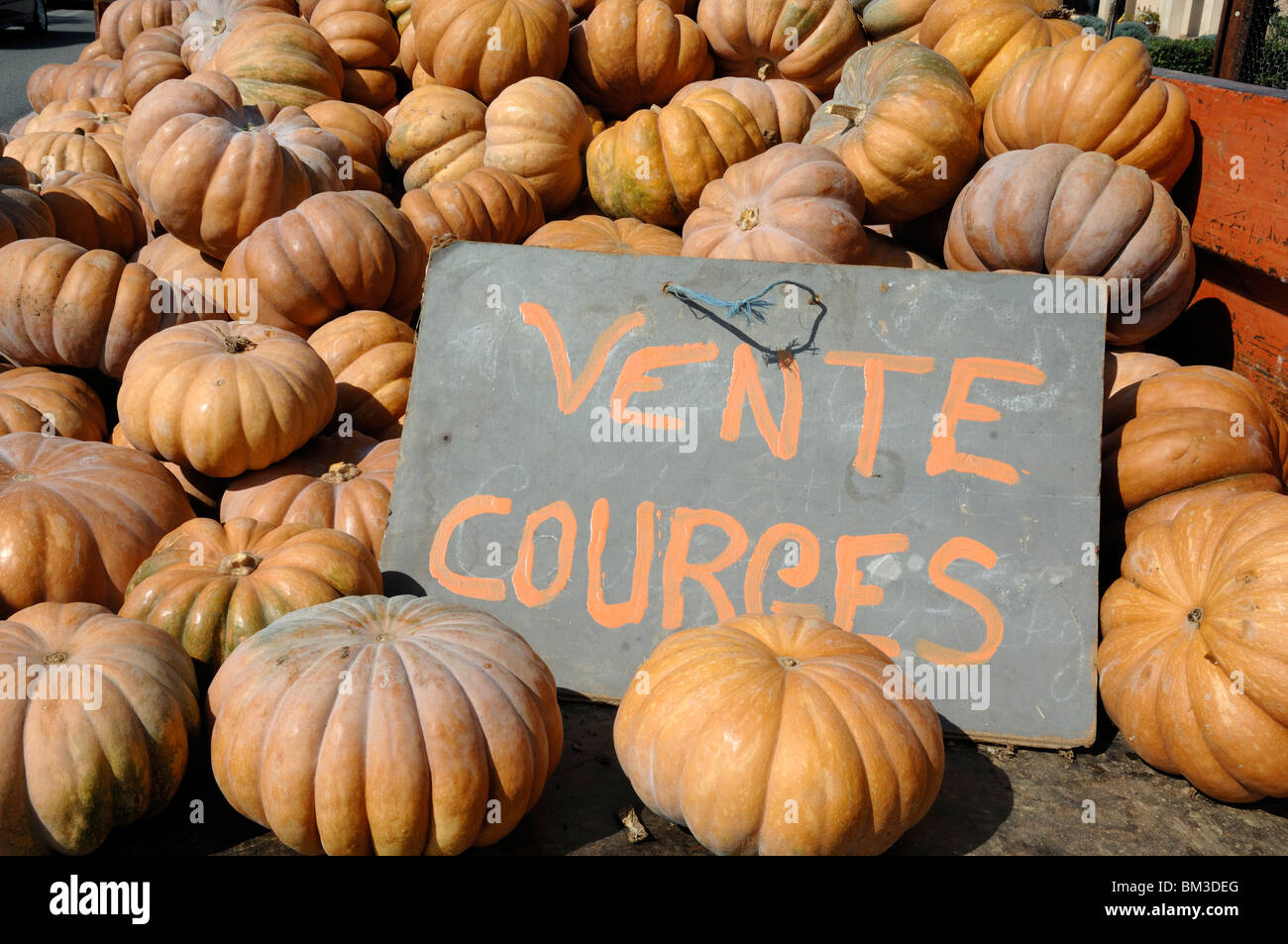 Courges orange hi-res stock photography and images - Alamy