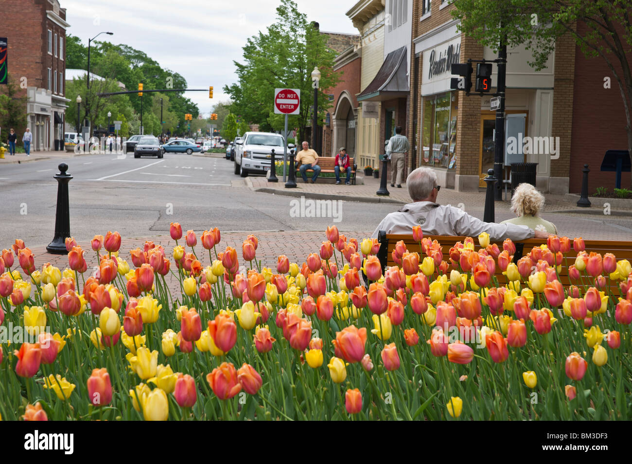 Tulip time festival Dutch Holland Michigan in USA An older couple ...