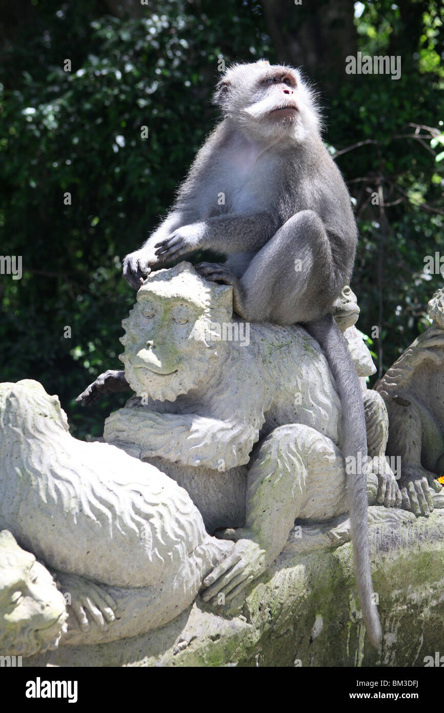 Stone monkey statue hi-res stock photography and images - Alamy
