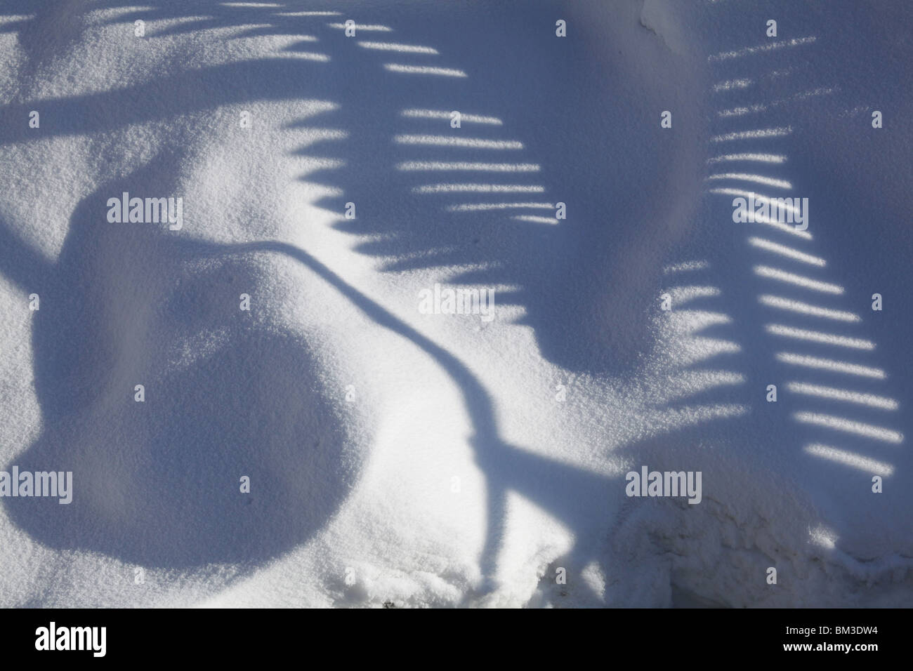 Cast of frozen hi-res stock photography and images - Alamy