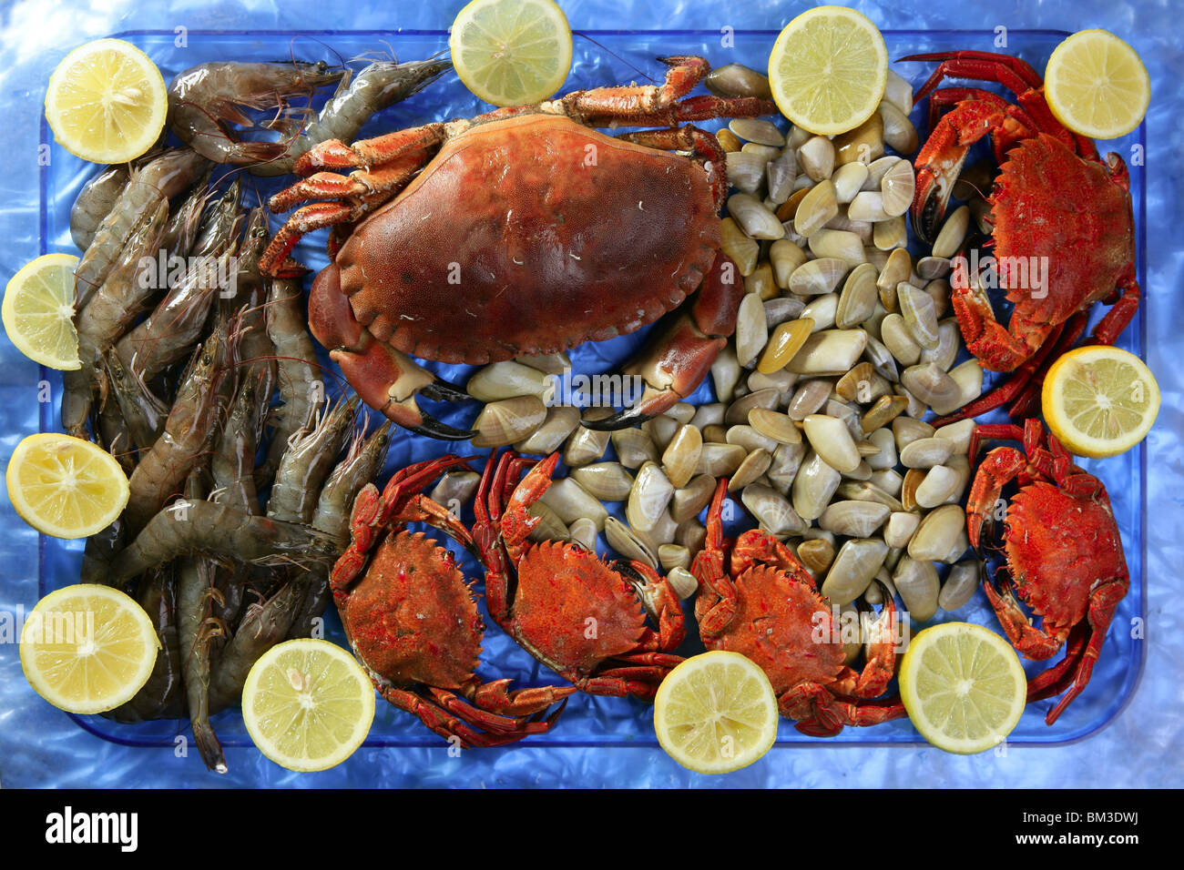 Crabs tellin shrimp clams and lemon seafood still life Stock Photo - Alamy