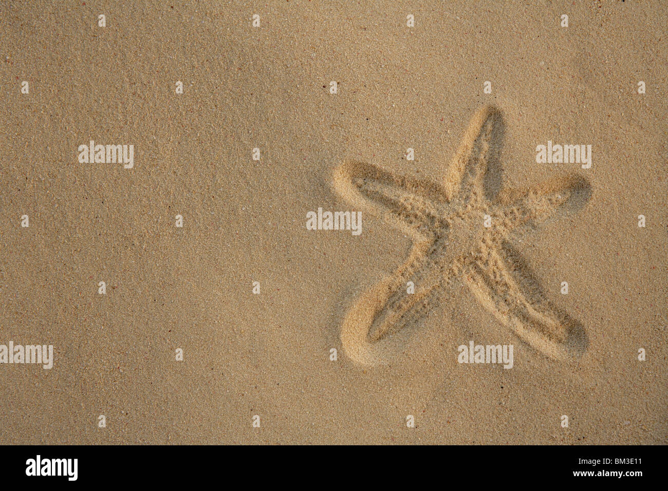 Starfish footprint over caribbean sand, vacation concept Stock Photo ...