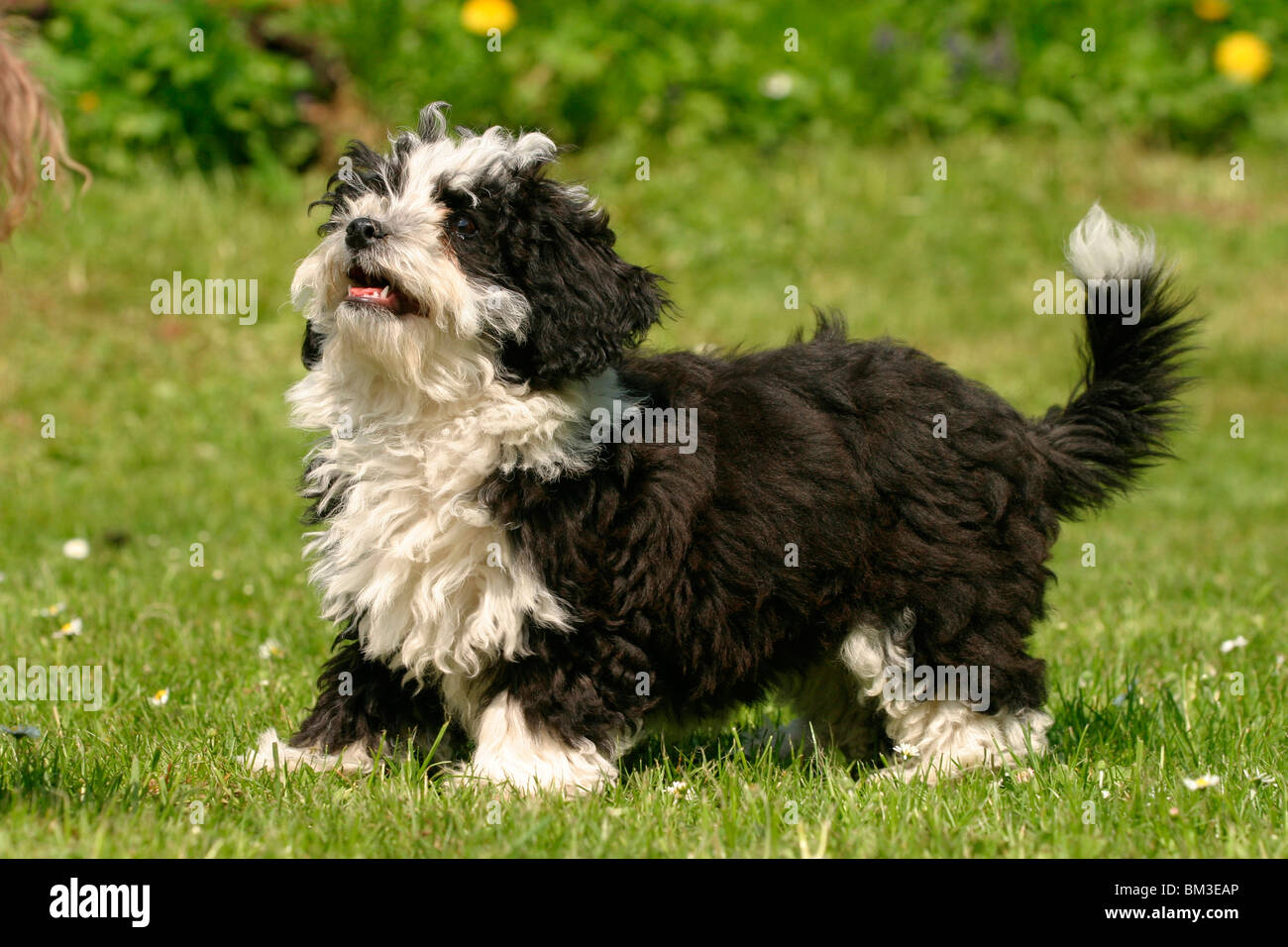 Rr 07021 hi-res stock photography and images - Alamy