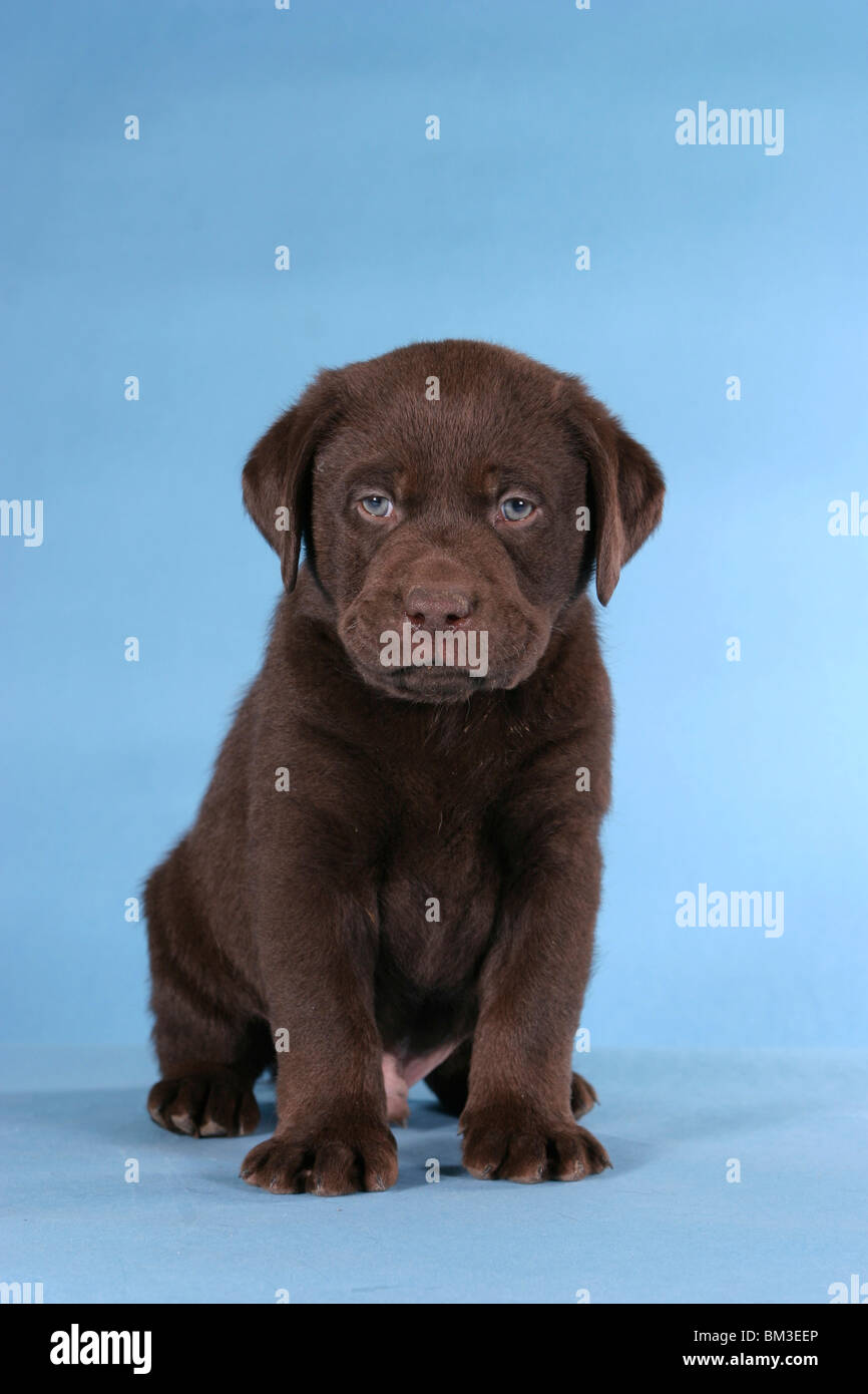 Sitzender stand hi-res stock photography and images - Alamy