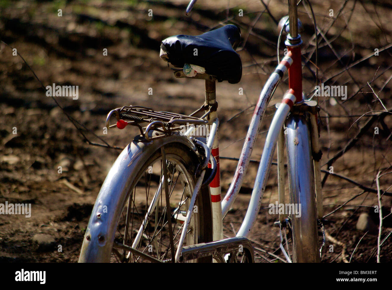 Old bike in nature hi-res stock photography and images - Alamy
