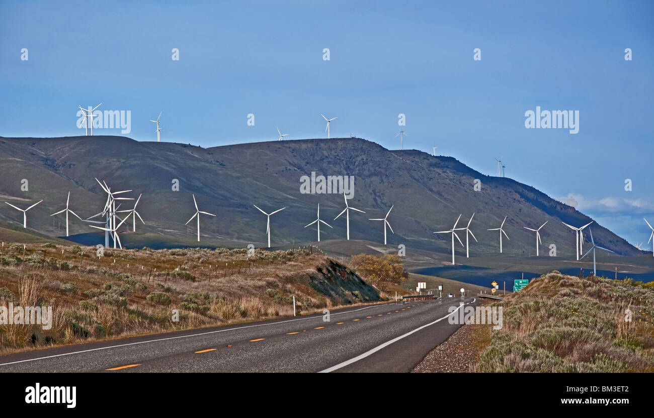 This landscape image shows many modern white tall windmill power ...