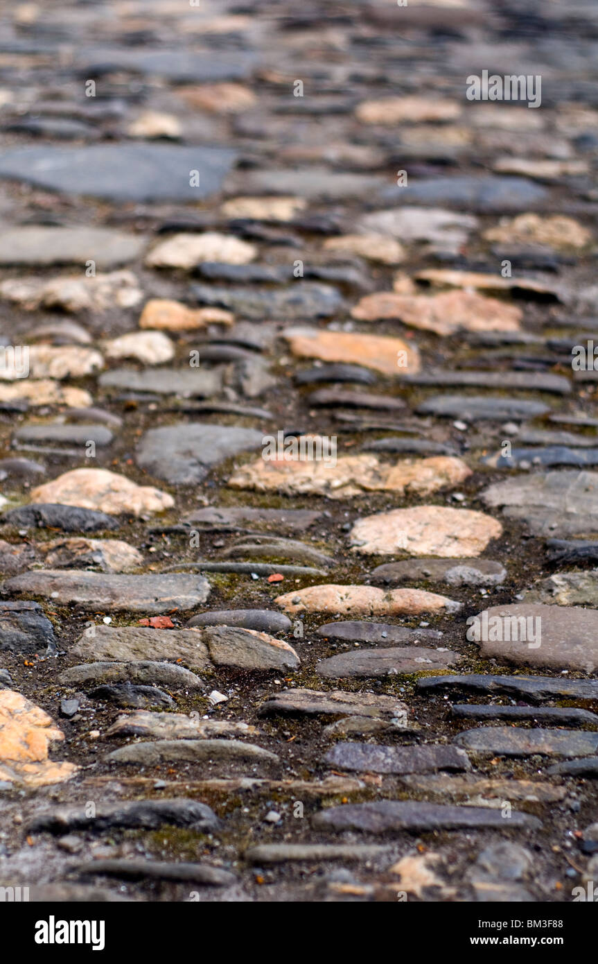 Close up of a cobbled street in Cornwall, England, UK Stock Photo - Alamy