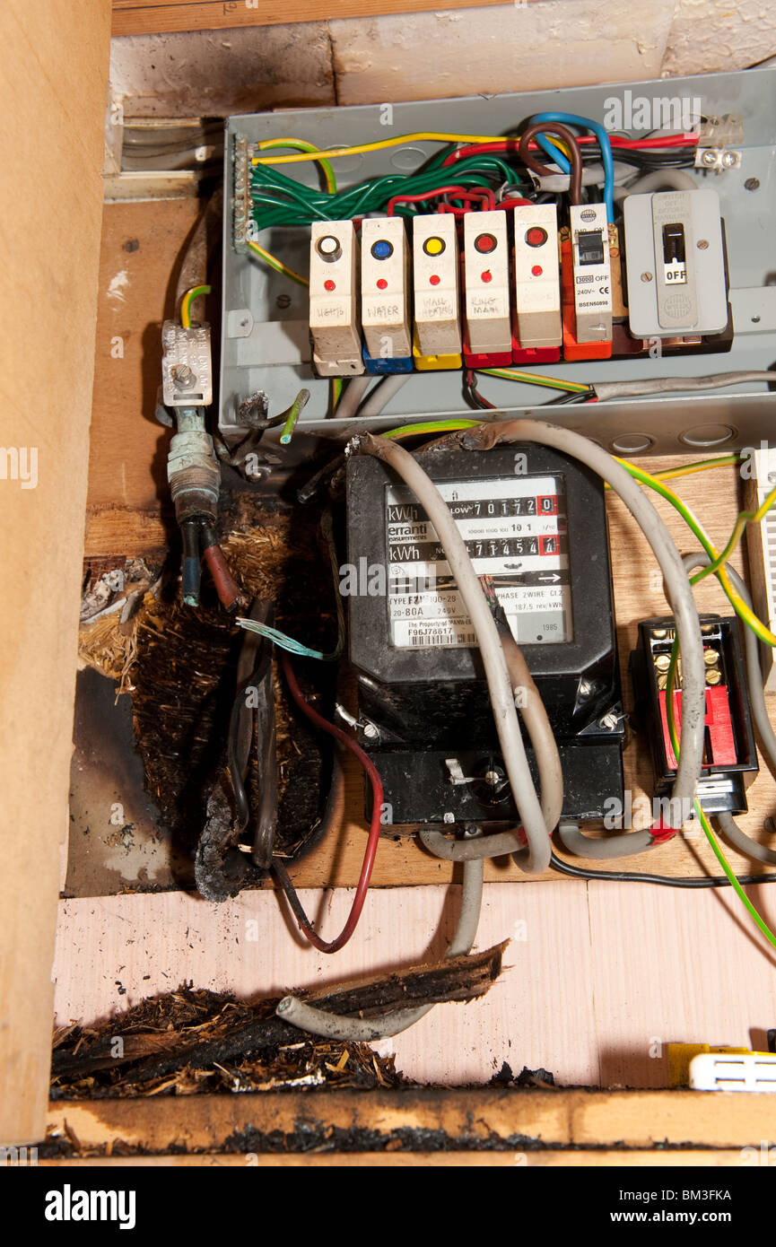 Consumer unit hi-res stock photography and images - Alamy