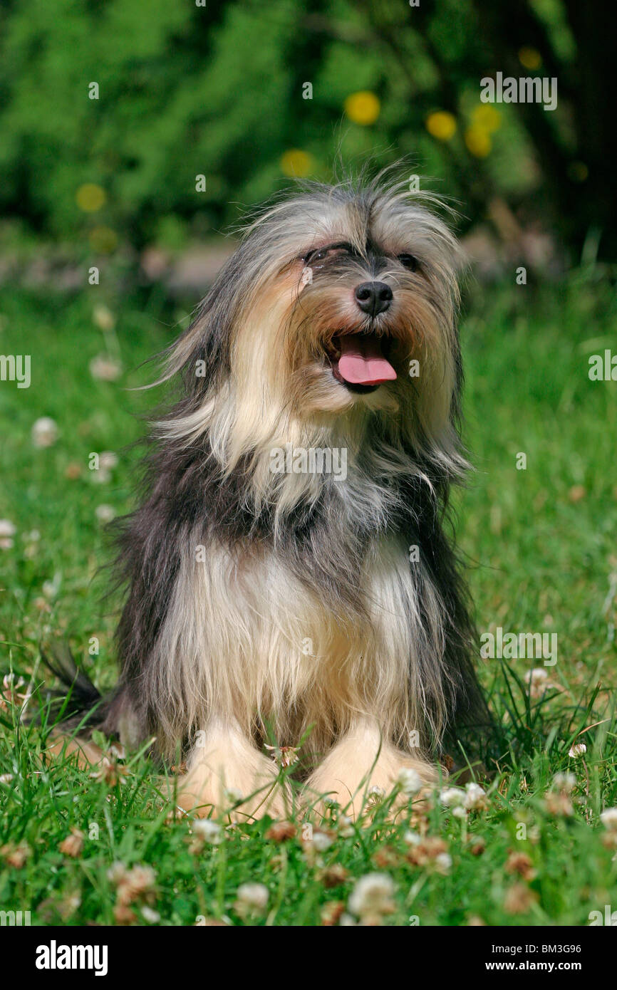 Hoch sitz hi-res stock photography and images - Alamy