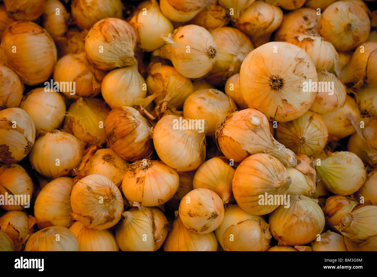 A pile of onions Stock Photo - Alamy