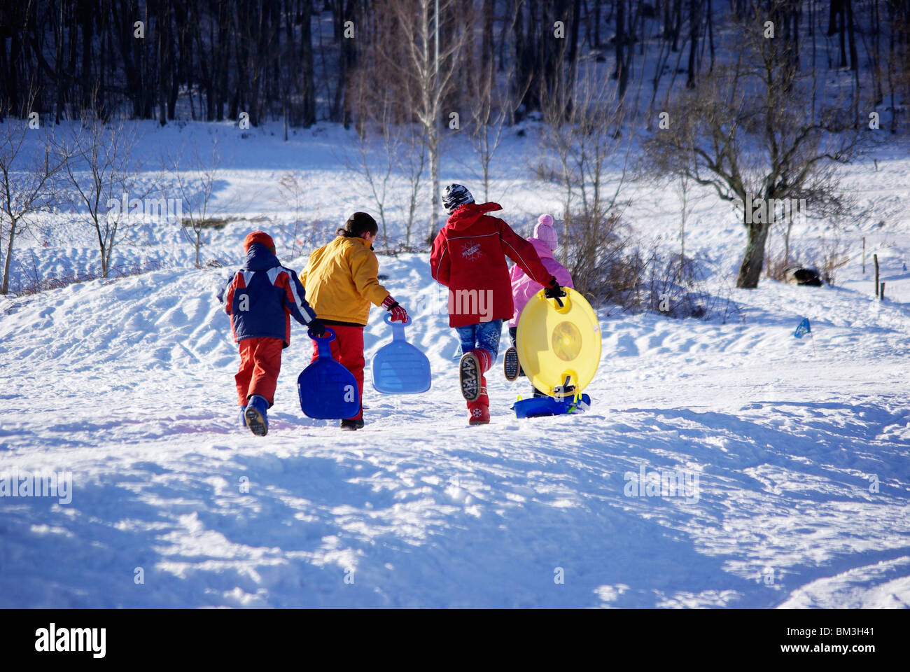 children run on snow with sleds Stock Photo - Alamy