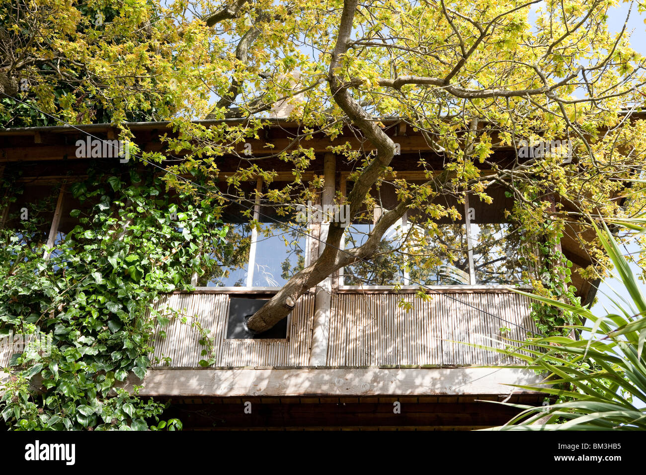 Tropical treehouse hi-res stock photography and images - Alamy