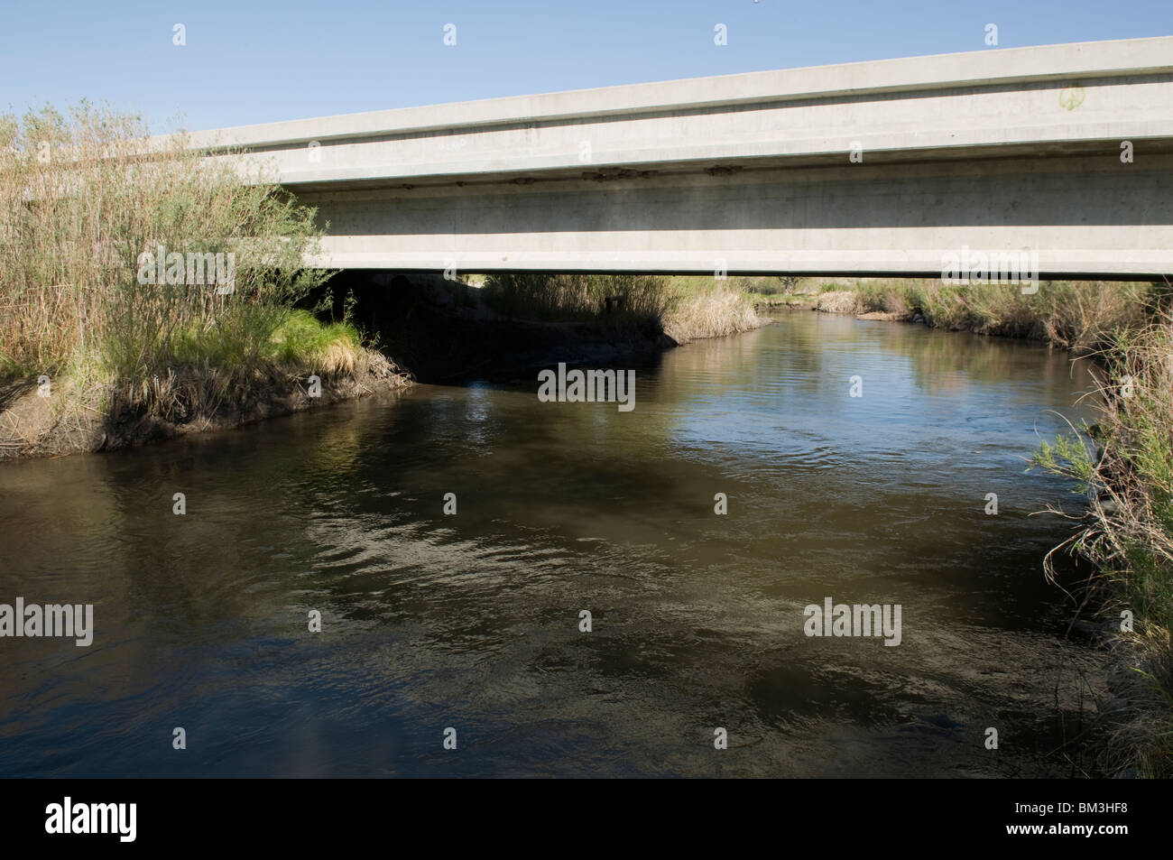 Lower Owens River section that was rewatered by the LADWP. Flows are at ...