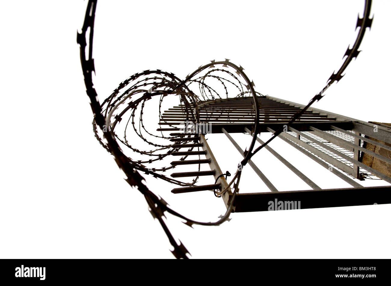 Razor wire on security fence against white background Stock Photo - Alamy