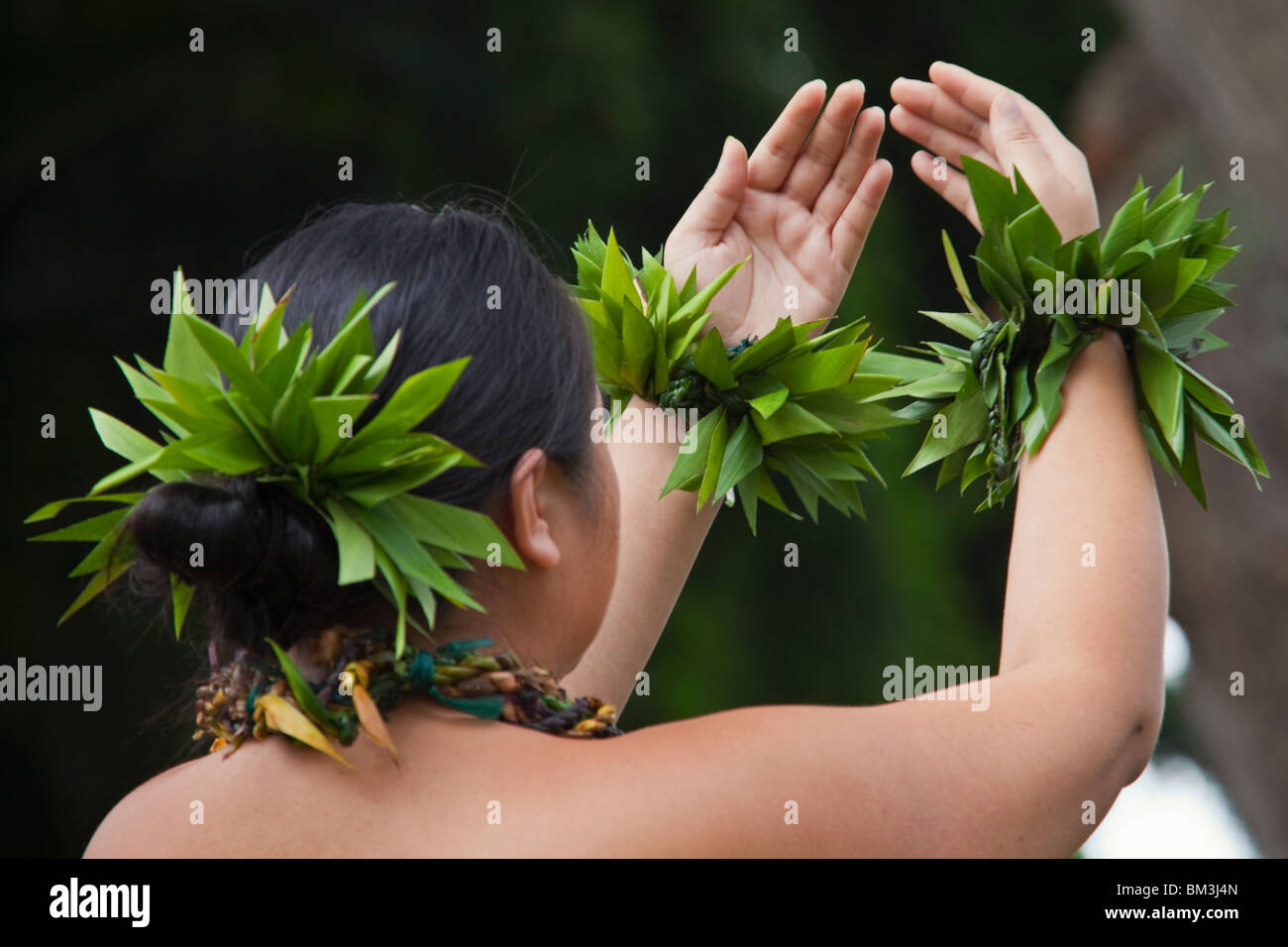 Hula hawaii hi-res stock photography and images - Alamy