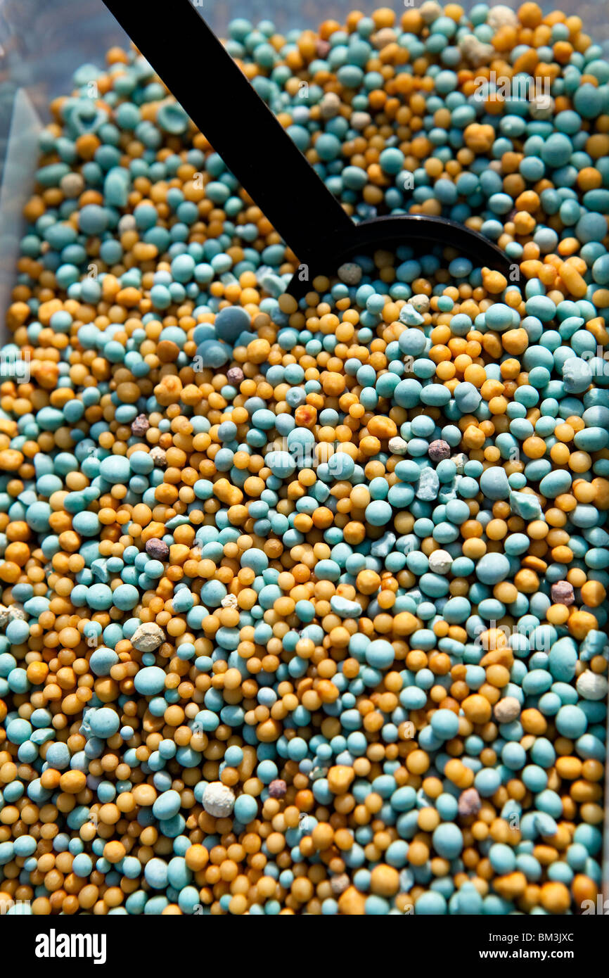 Close up of slow release fertiliser for growing plants, ready for ...