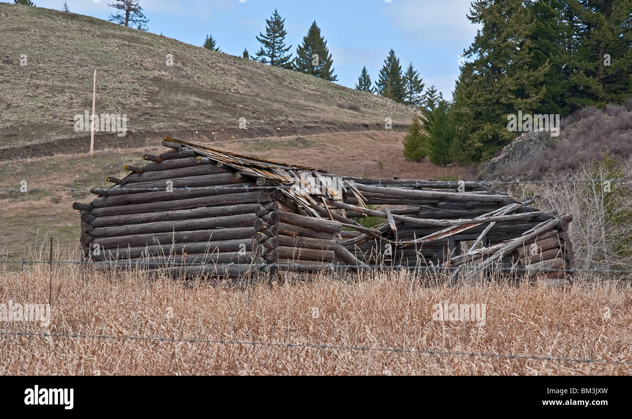 This photo is an old turn of the century log cabin homestead located ...
