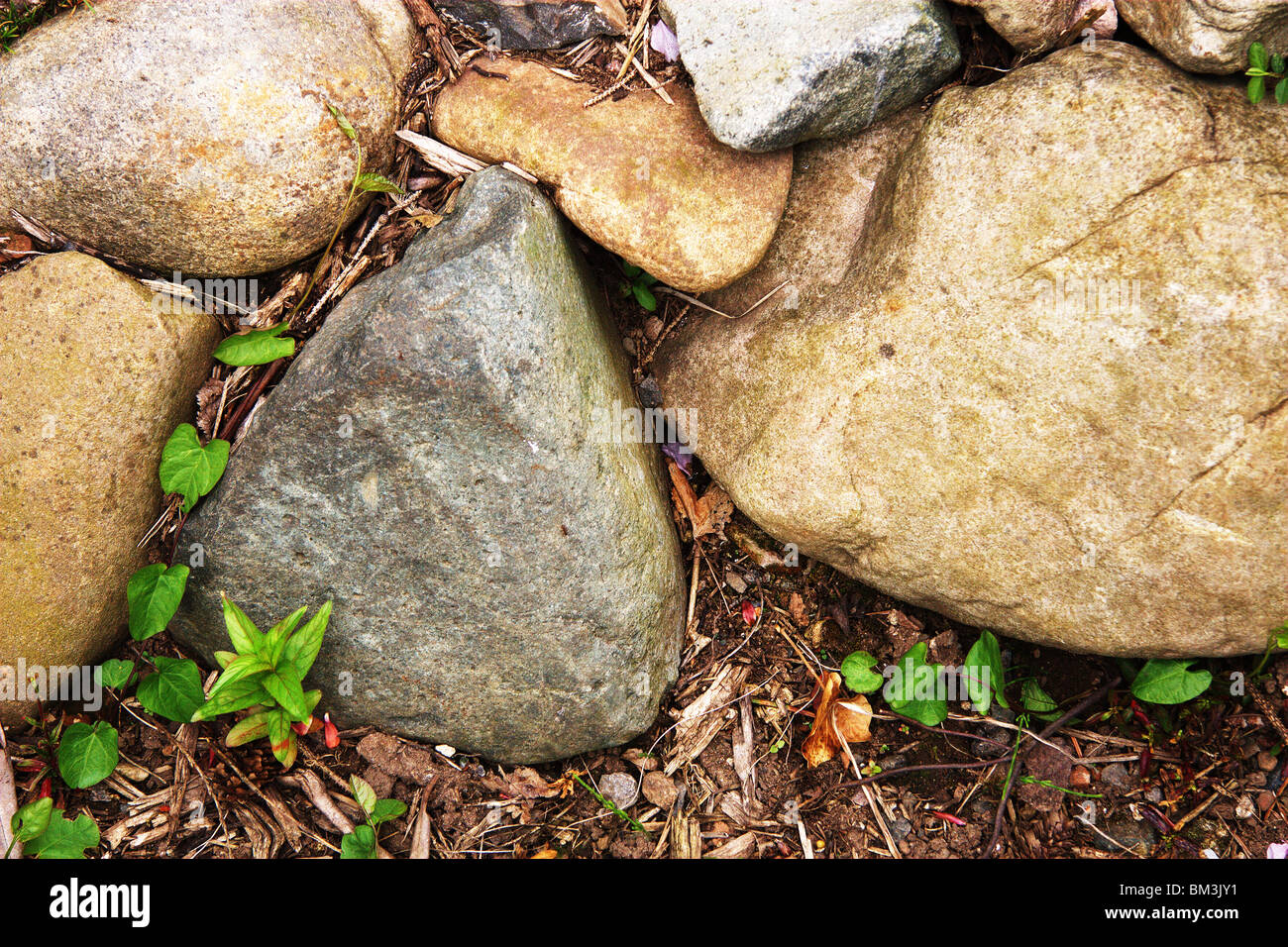 Stoney texture hi-res stock photography and images - Alamy