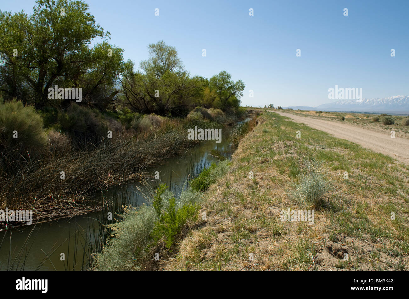 Lower owens river hi-res stock photography and images - Alamy