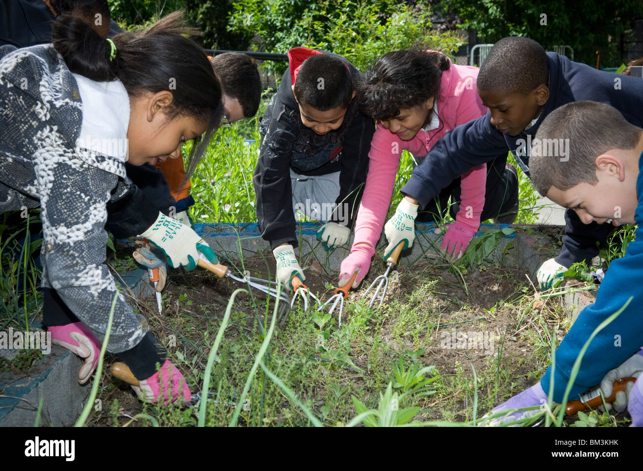 Third grade classroom hi-res stock photography and images - Alamy