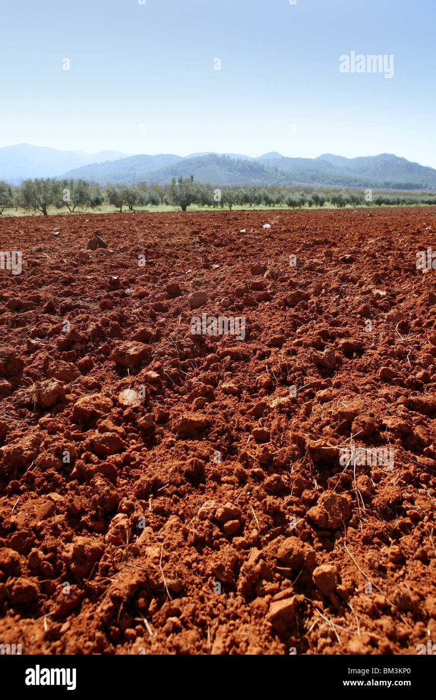 Red Clay Dirt