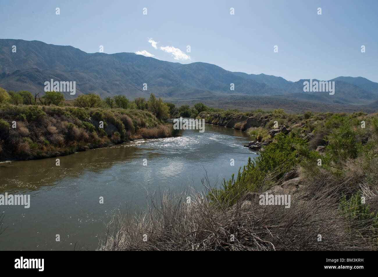 Lower Owens River section that was rewatered by the LADWP. Flows are at ...
