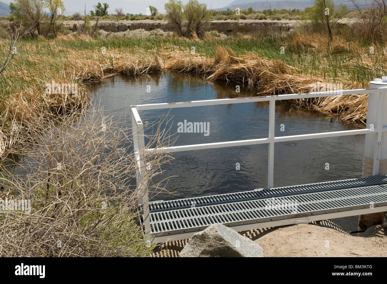 Lower Owens River section that was rewatered by the LADWP. Flows are at ...