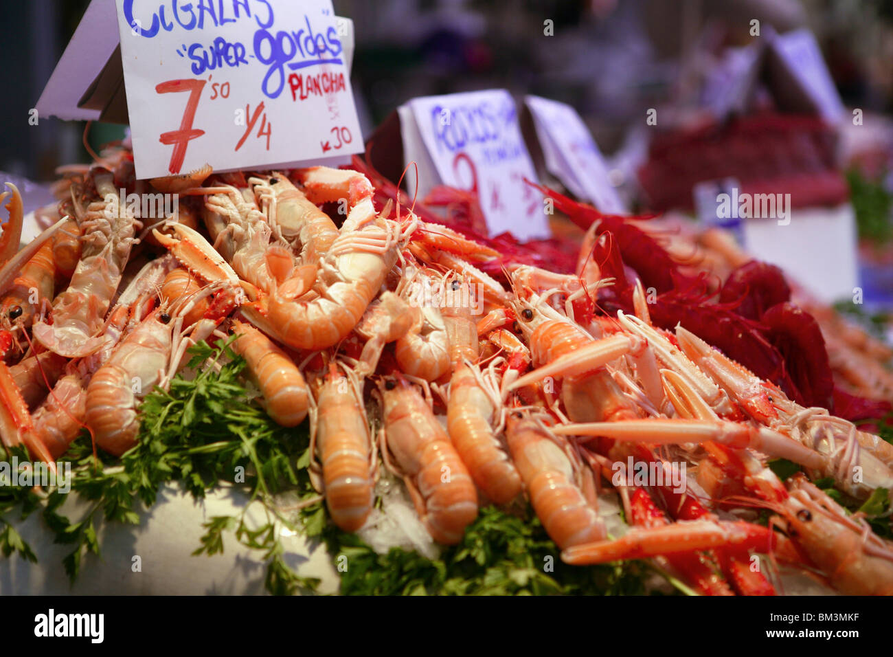 Mediterranean seafood in the market on ice Stock Photo - Alamy