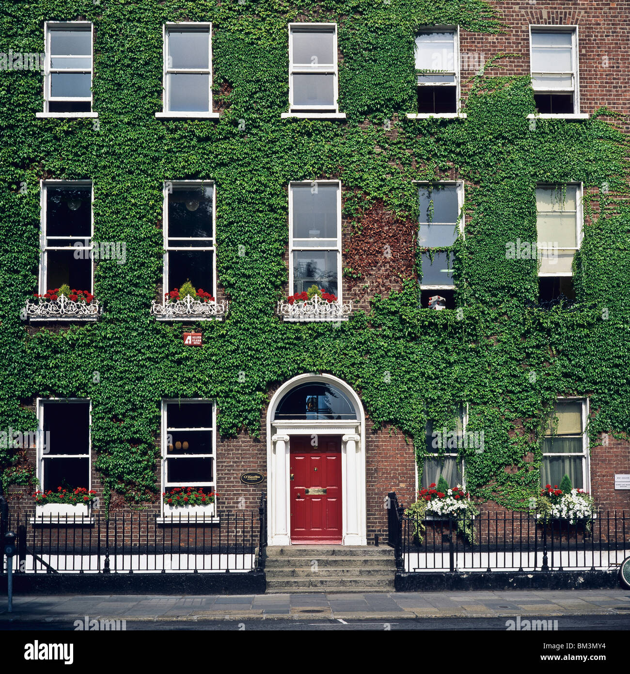 GEORGIAN IVY-COVERED BUILDING DUBLIN IRELAND Stock Photo - Alamy