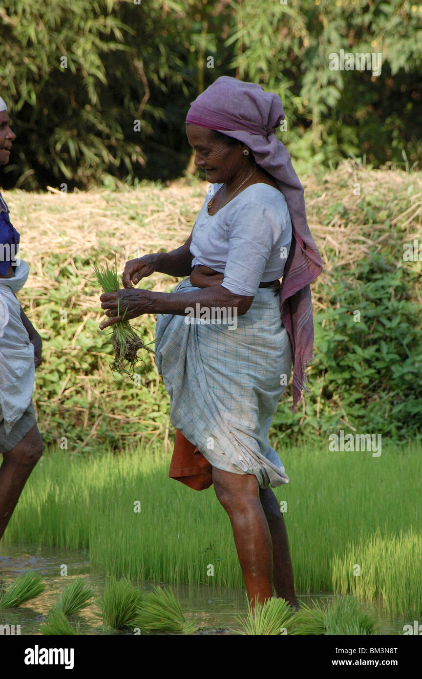 Lady labours hi-res stock photography and images - Alamy