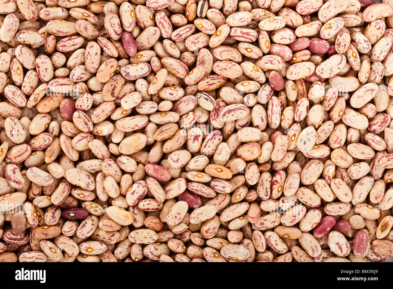 Pinto beans or mottled beans in a background Stock Photo - Alamy