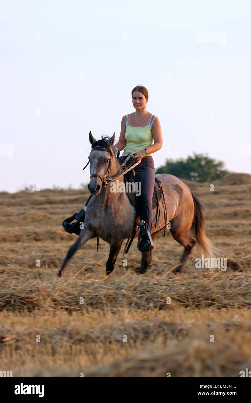 Pferd und Reiter / horse and horsewoman Stock Photo - Alamy