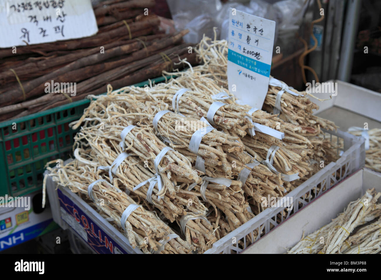 Gyeongdong Market, Largest Asian Medicine Market in Korea, Seoul, South ...