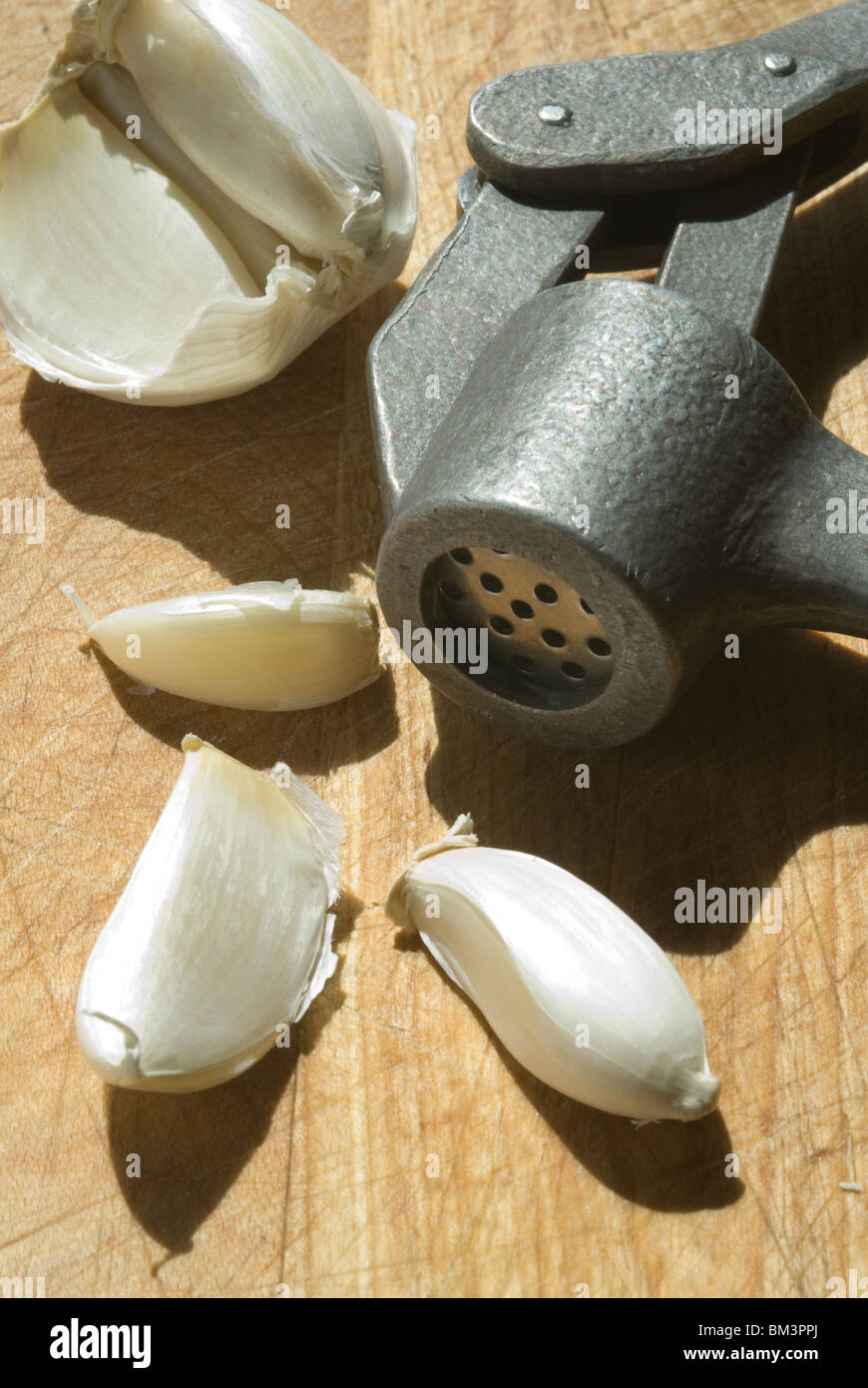 still life of garlic on a chopping board with an old fashioned garlic ...