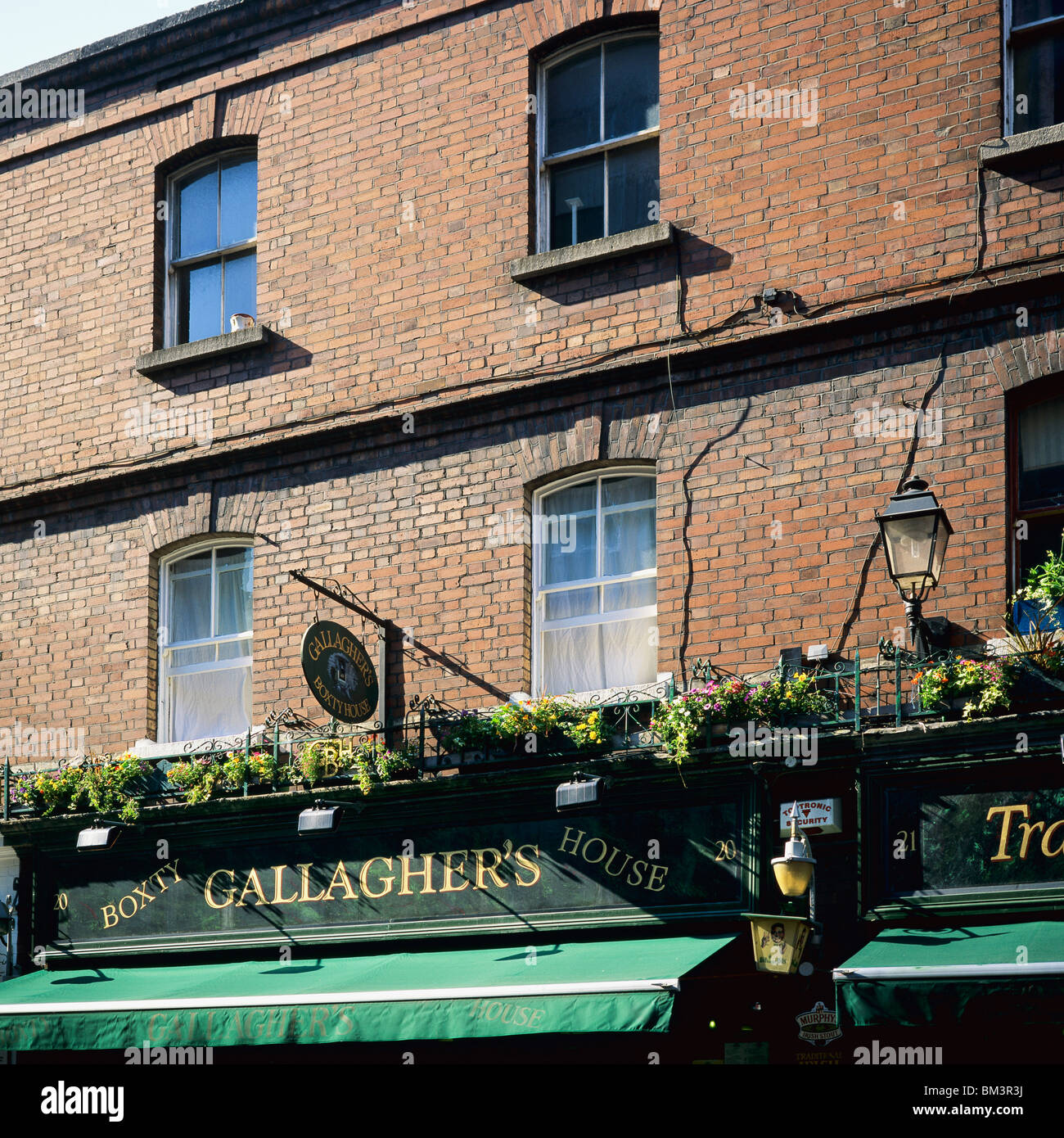 GALLAGHER'S BOXTY HOUSE RESTAURANT TEMPLE STREET DUBLIN IRELAND EUROPE ...