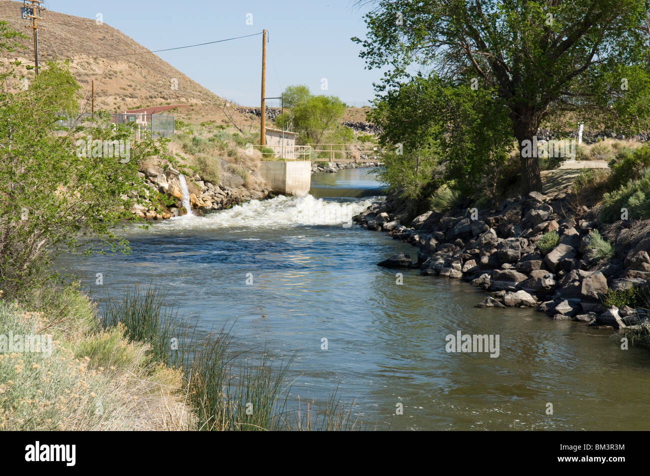 Lower Owens River section that was rewatered by the LADWP. Flows are at ...