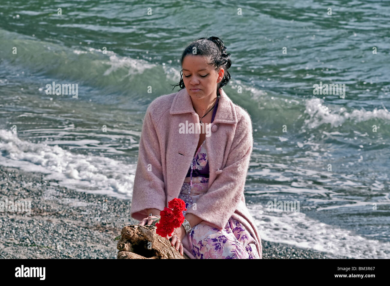 Beach carnation hi-res stock photography and images - Alamy