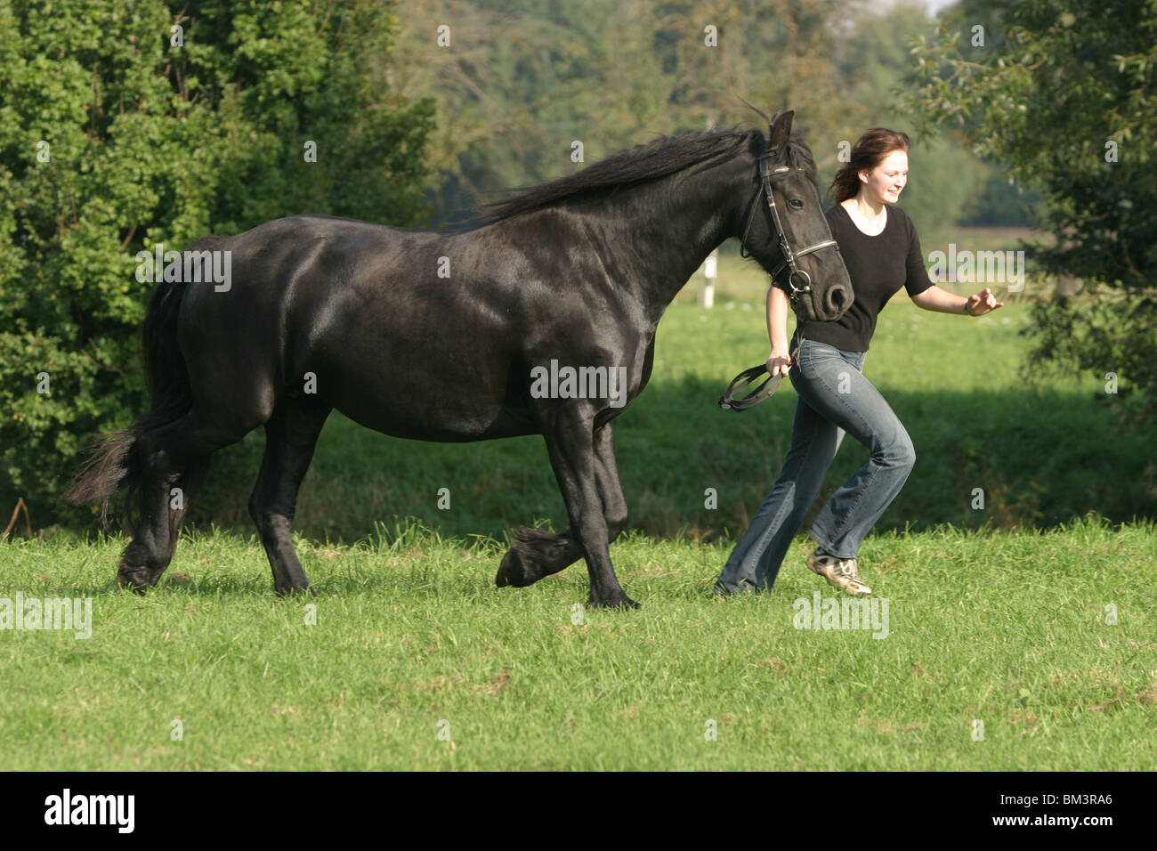 Action animal animals hi-res stock photography and images - Alamy