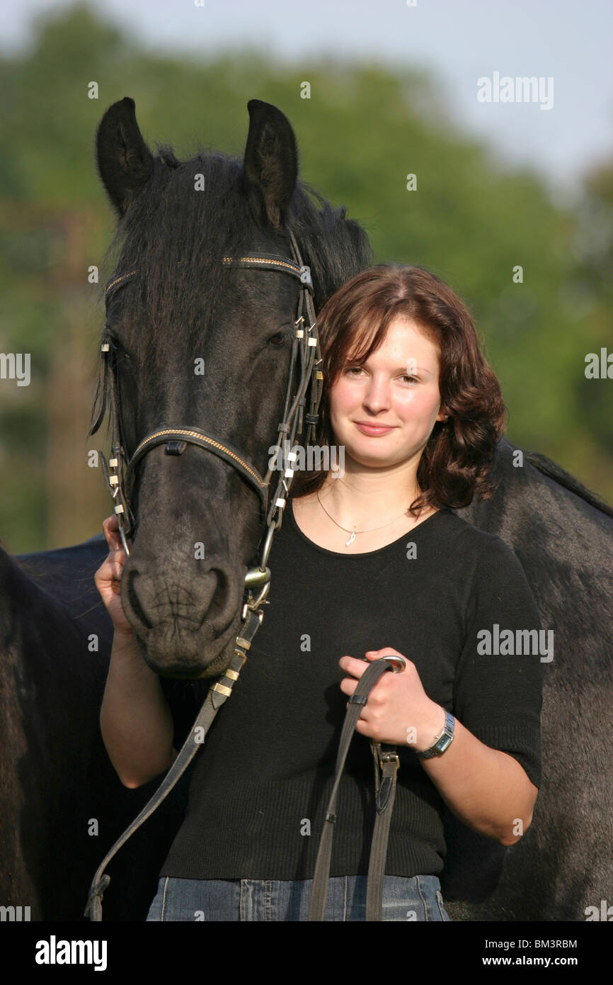 Friese im Portrait / friesian portrait Stock Photo - Alamy