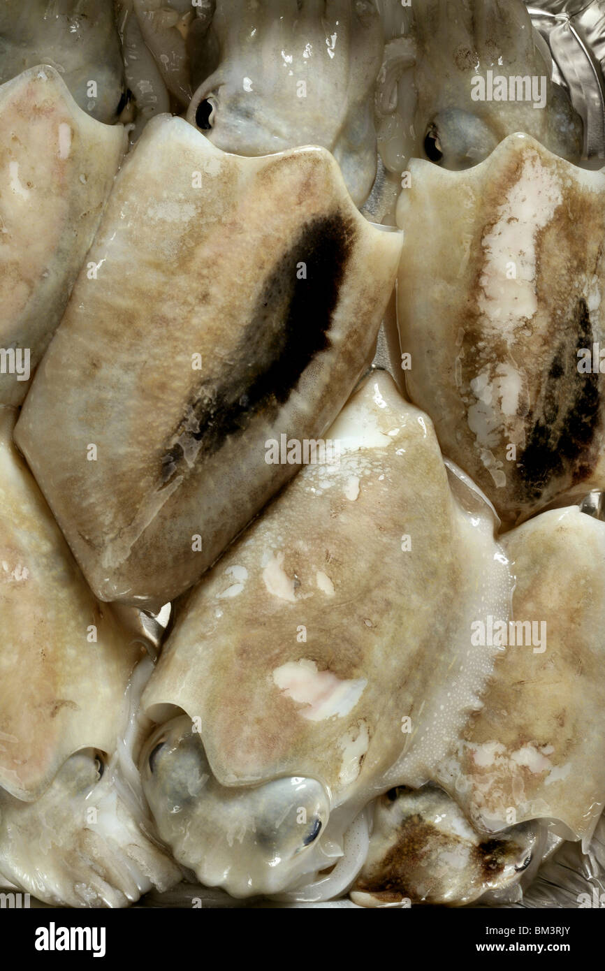 Cuttlefish uncooked, Squid Mediterranean seafood at studio Stock Photo ...