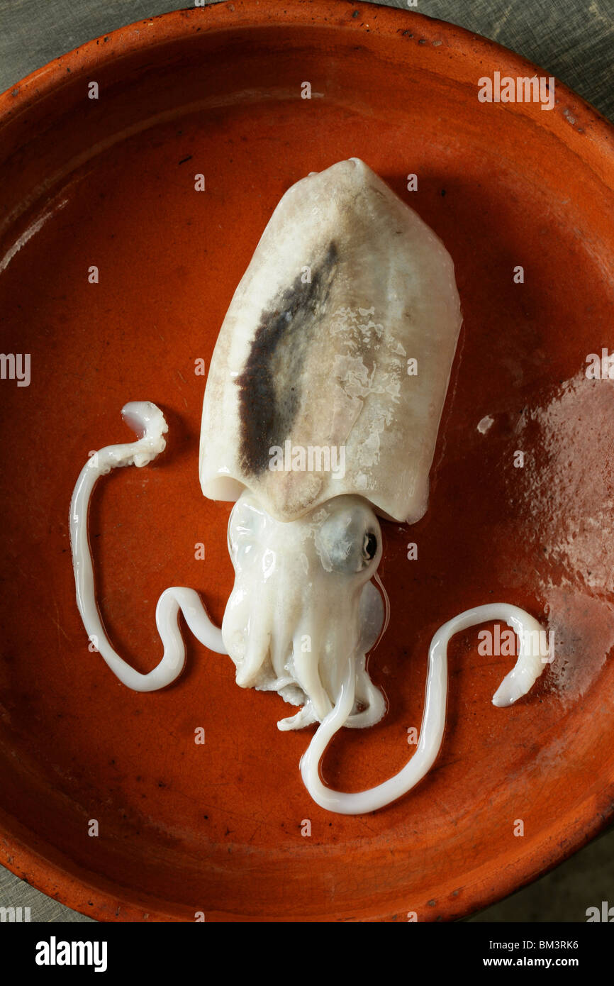 Cuttlefish uncooked, Squid Mediterranean seafood at studio Stock Photo ...