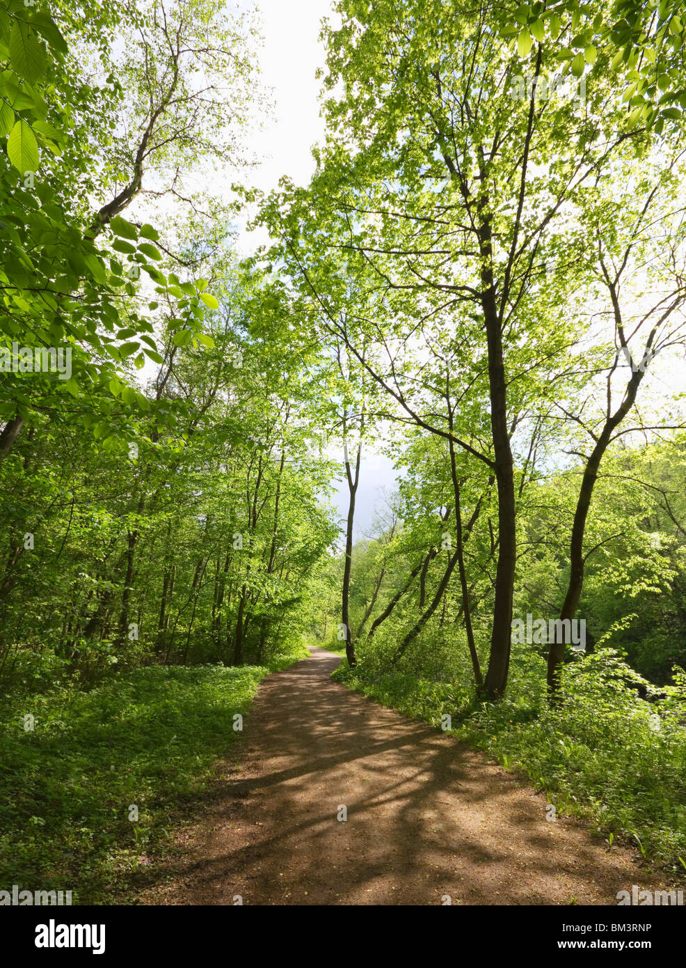trail in Spring Park Stock Photo - Alamy