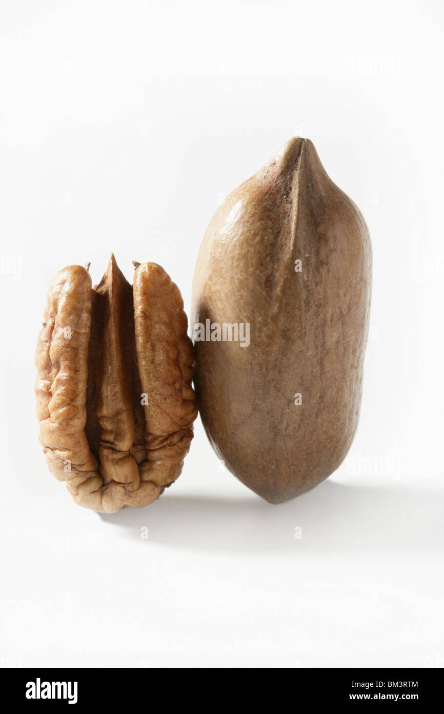 Pecan nut fruit and shell isolated over white studio background Stock ...