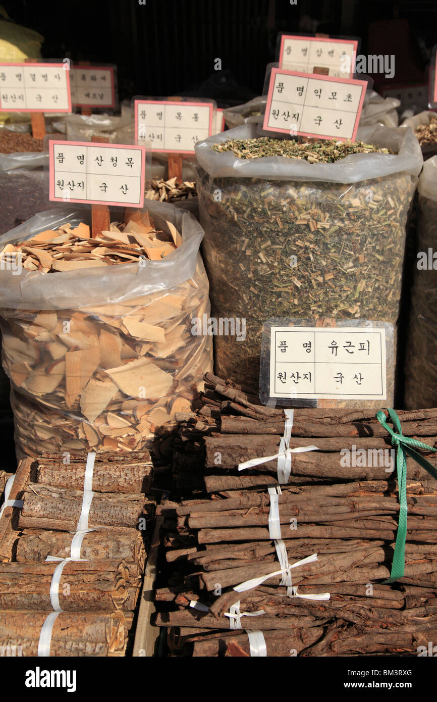 Gyeongdong Market, Largest Asian Medicine Market in Korea, Seoul, South ...